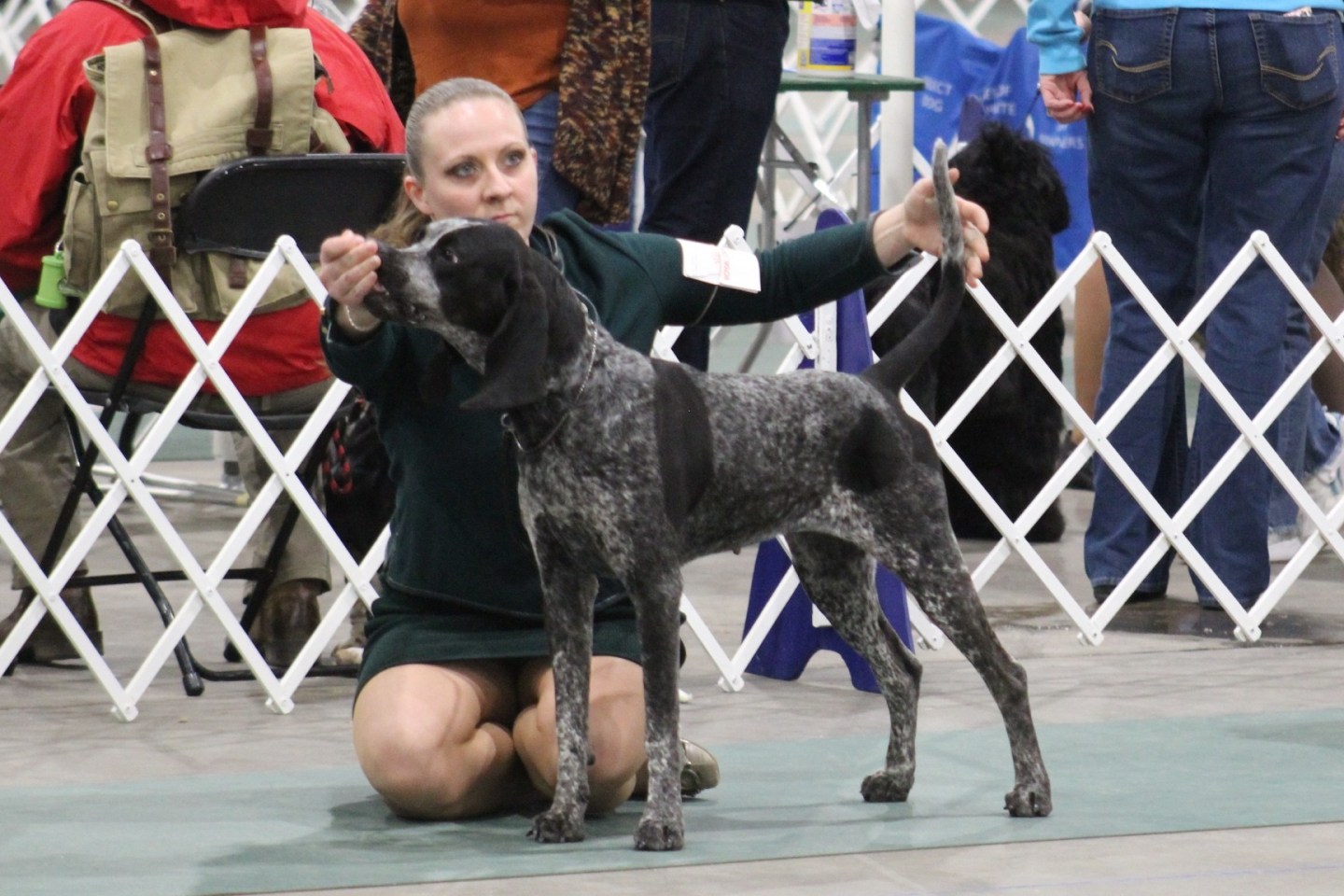 Females – Evenstar Hounds